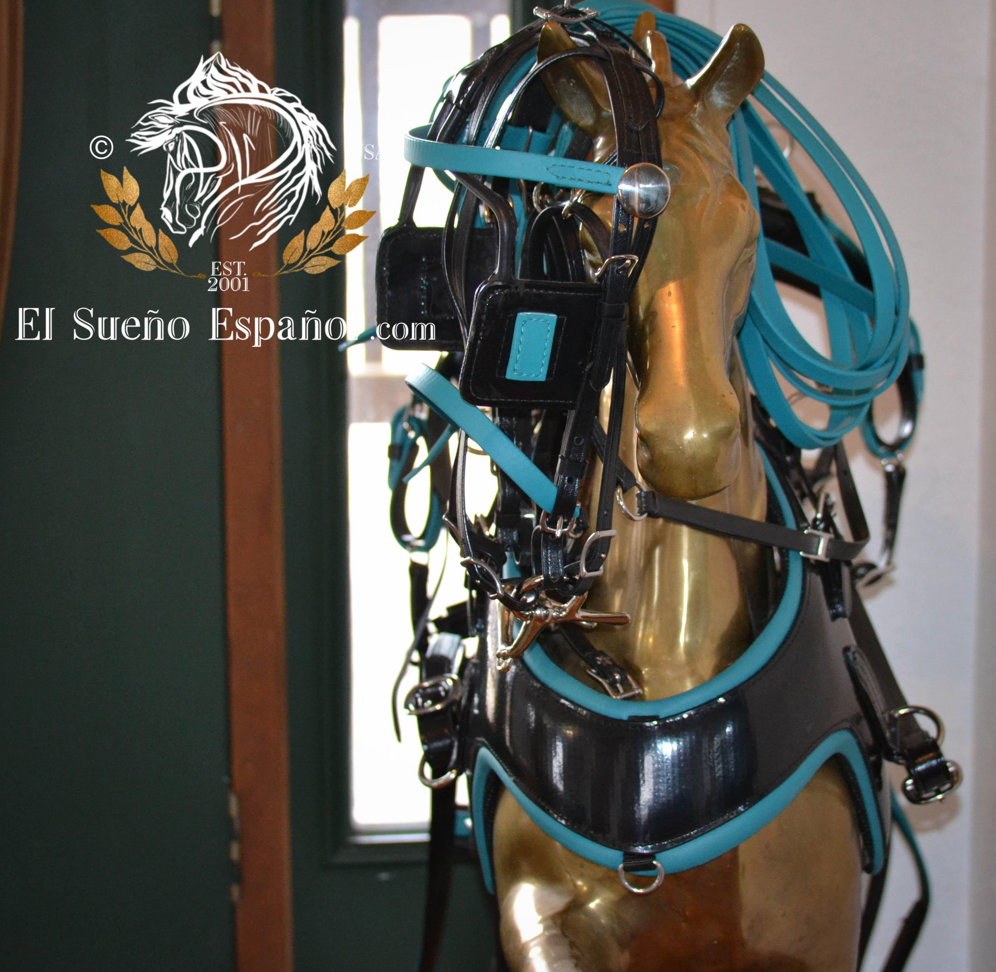 Driving Harness – El Sueno Espanol