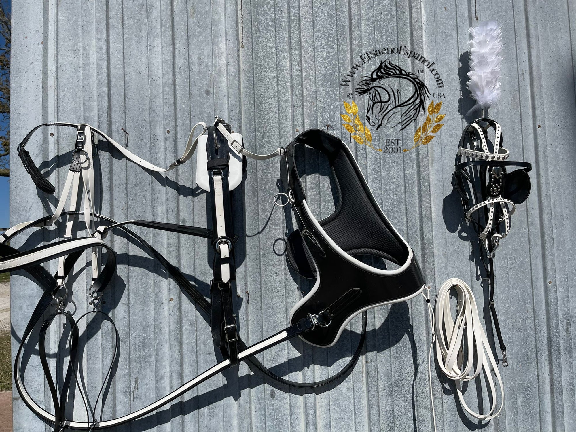Driving Harness – El Sueno Espanol