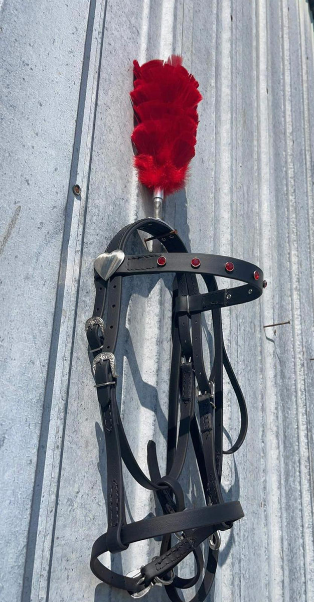 Parade Bitless Bridle Set with Diamond Browband, Plume & Leadline – El ...