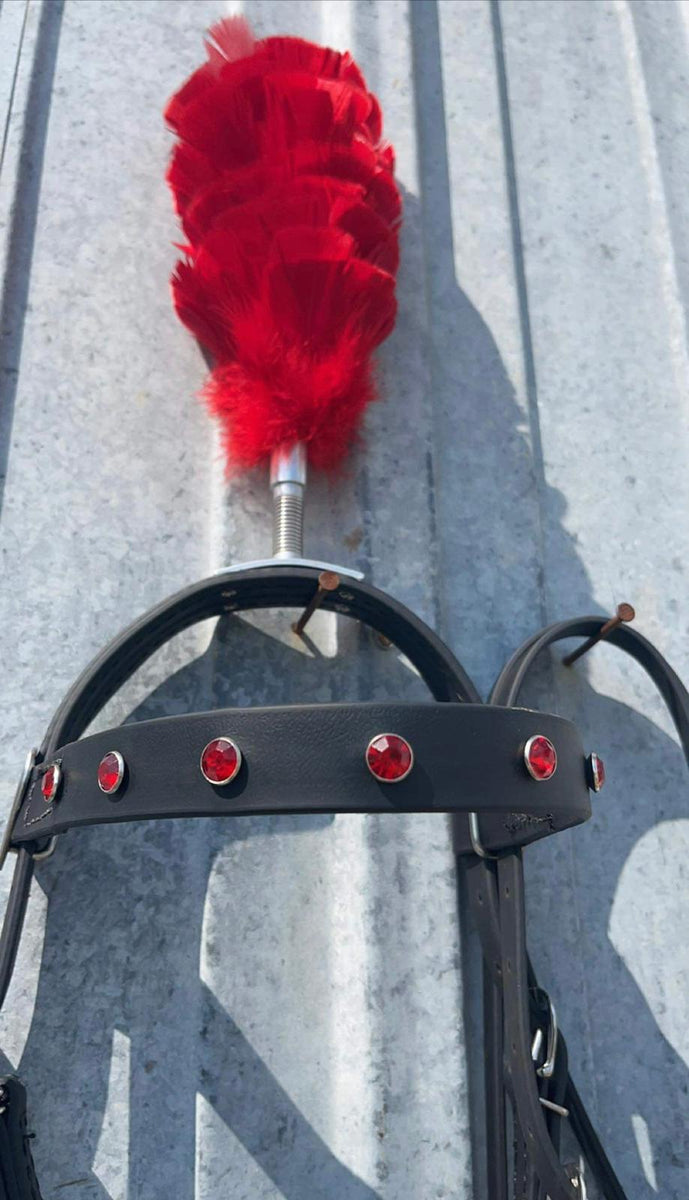 Parade Bitless Mini Bridle Set with Diamond Browband, Plume & Leadline ...